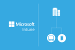Steps To Create A Local User And Add It To The Administrators Group Via Intune | System Support ...